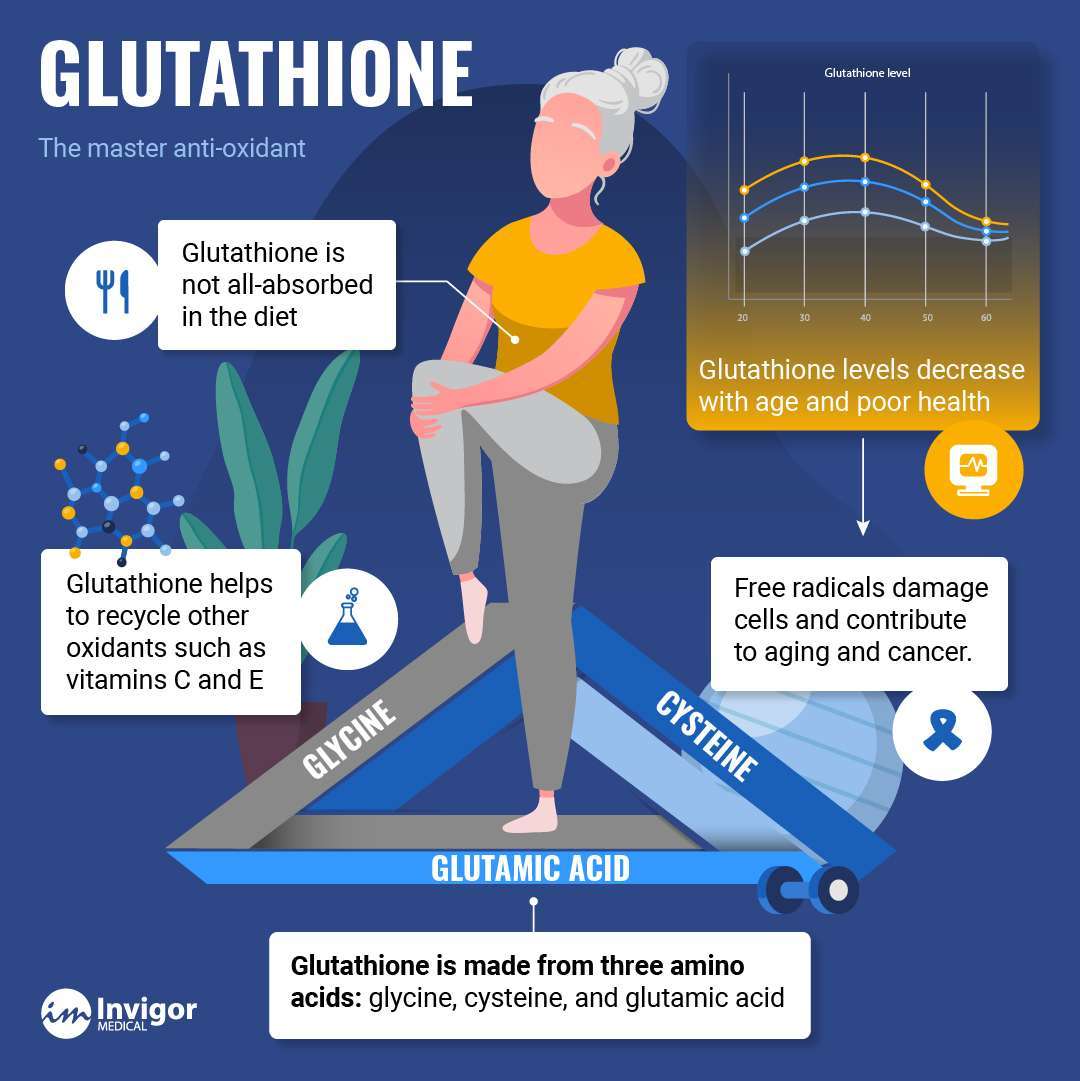 Glutamine vs Glutathione Differences | Invigor Medical