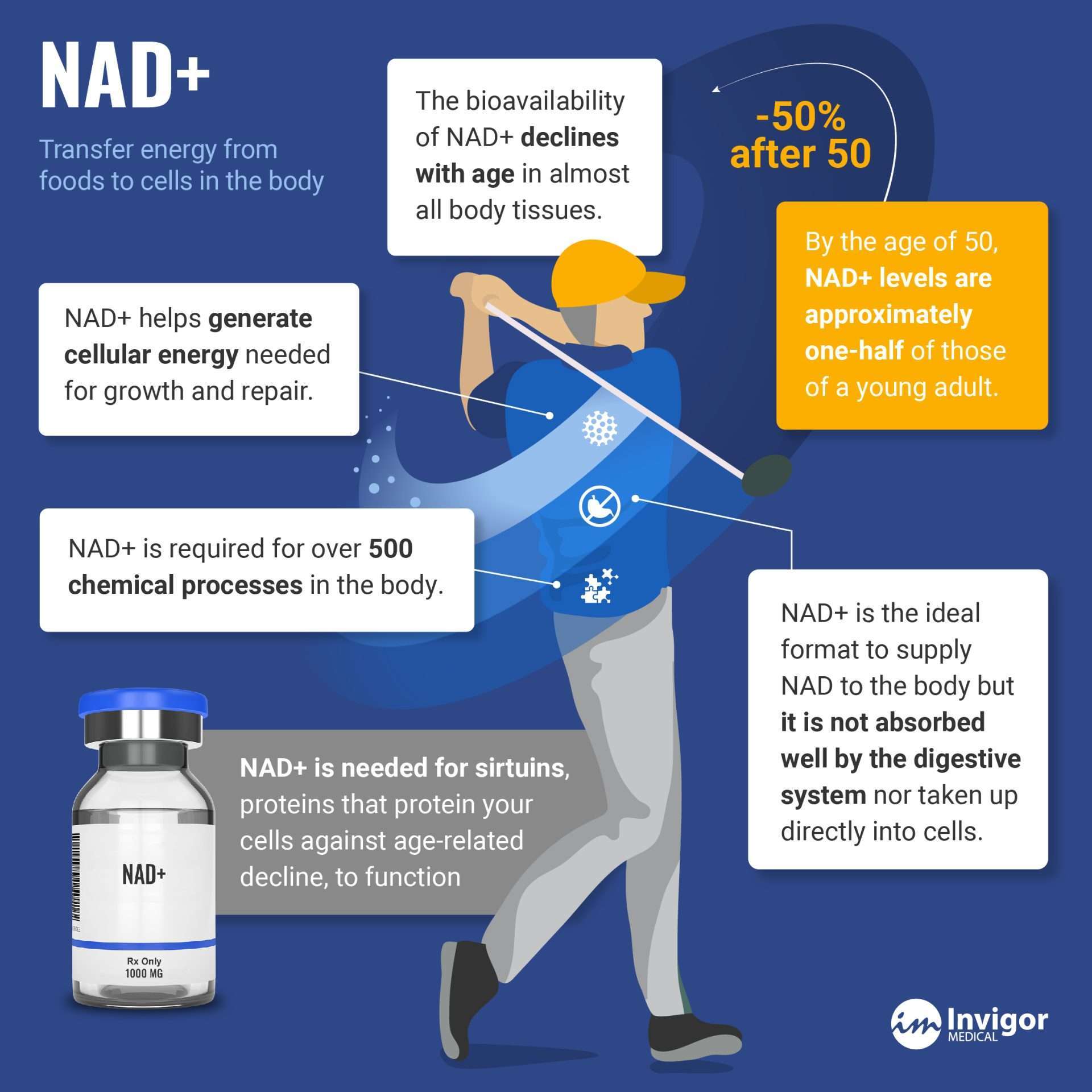 The Health Benefits of NAD+ Therapy | Invigor Medical