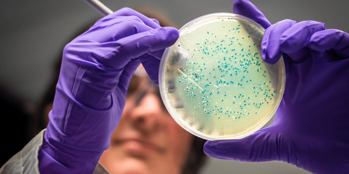 Microbiota vs. Microbiome: What's the Difference | Invigor Medical