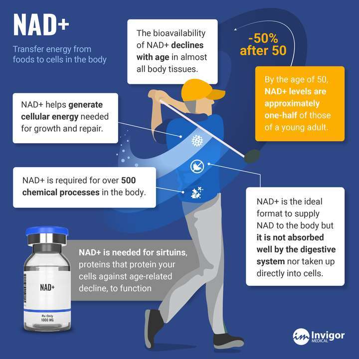 NAD+ Vs. NADH: What's The Difference? | Invigor Medical